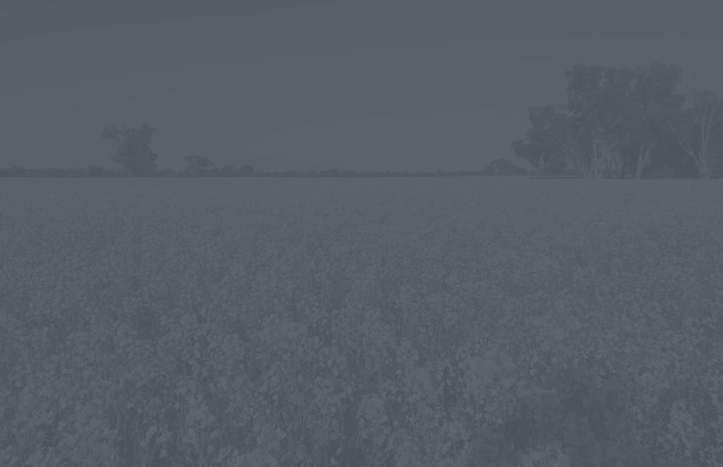 Carbon & ESG – AAGIM