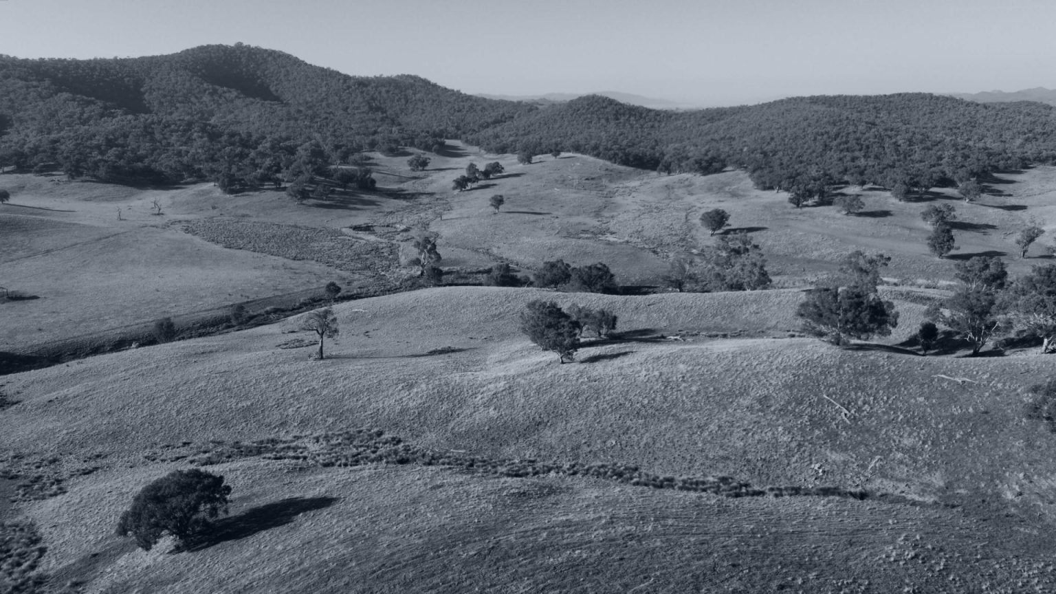 AAGIM – Investment Management