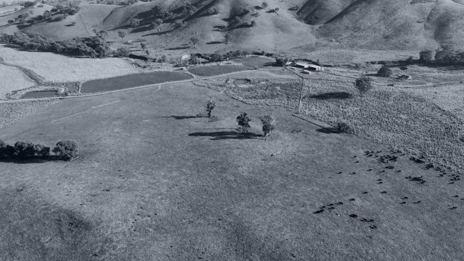 AAGIM – Investment Management