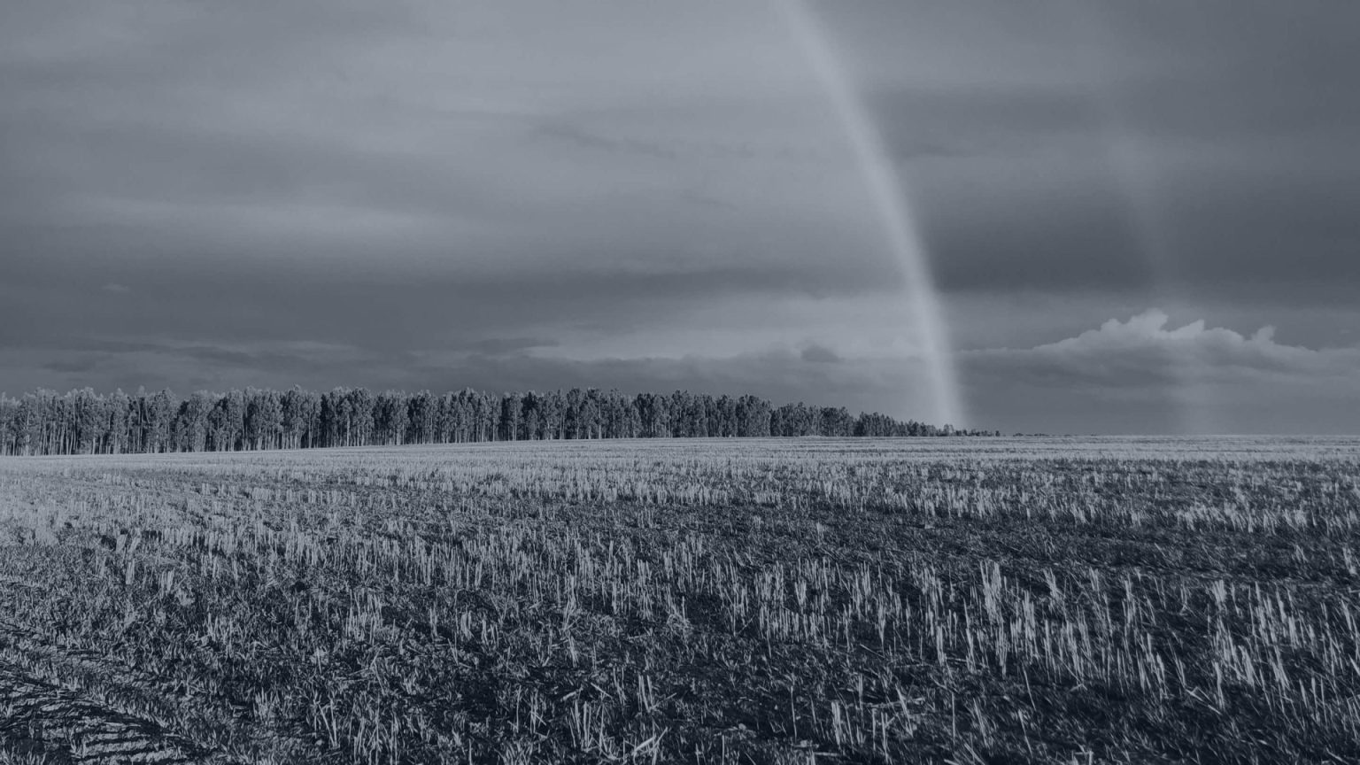 AAGIM – Investment Management